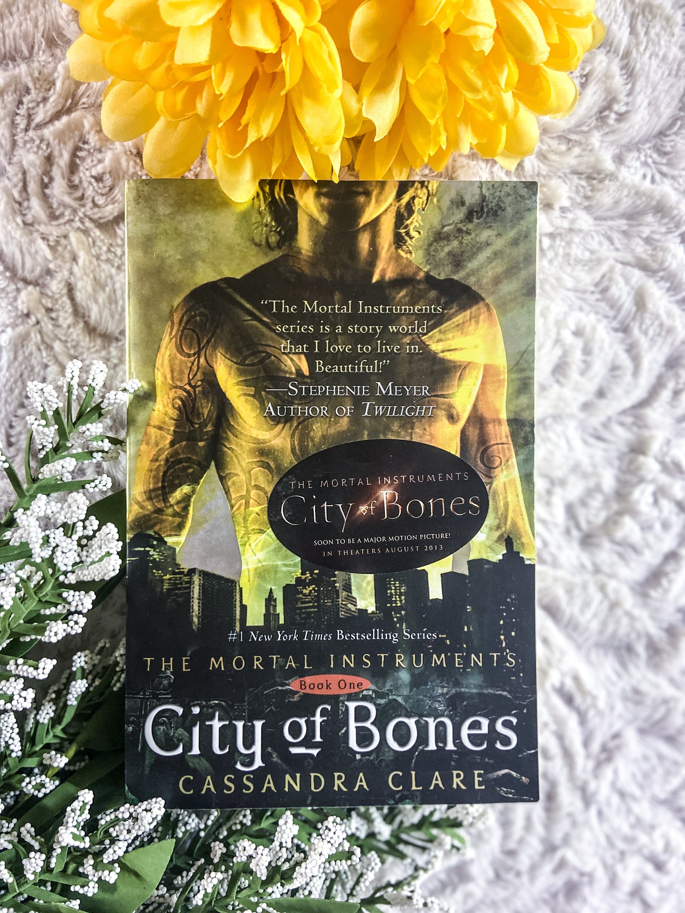 City Of Bones Book Cover Model